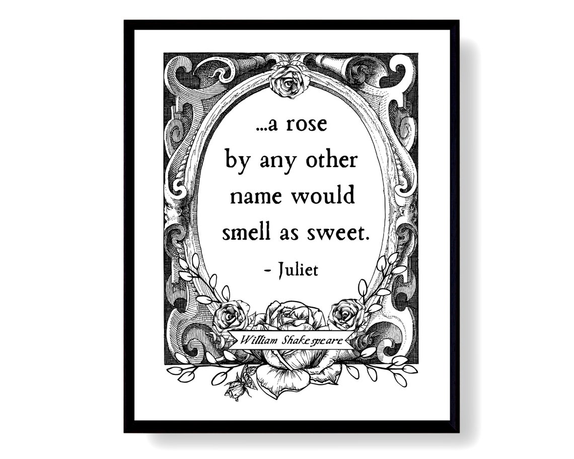 Romeo and Juliet Literature Poster, the Bard William Shakespeare ...
