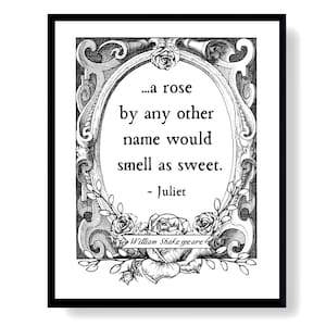 Romeo and Juliet Literature Poster, the Bard William Shakespeare ...