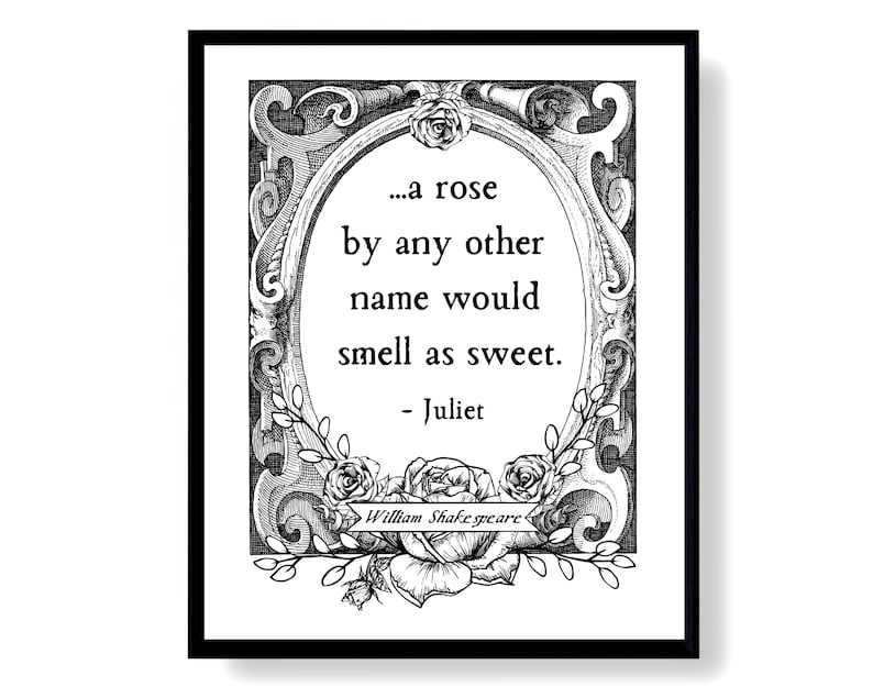 Romeo and Juliet Literature Poster, the Bard William Shakespeare ...