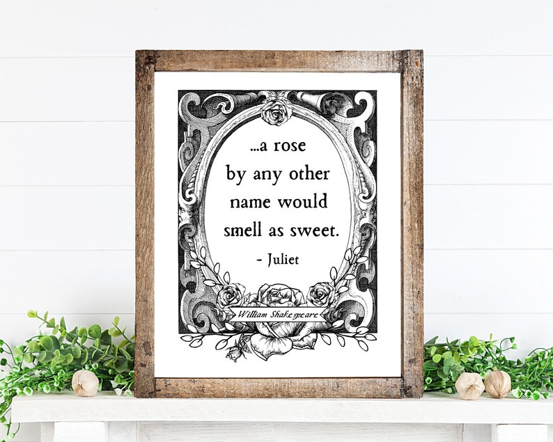 Romeo and Juliet Literature Poster, the Bard William Shakespeare ...