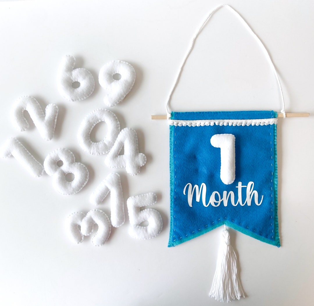Baby Milestone Felt Banner, Baby Felt Pennant, Felt Baby Months Tracker ...