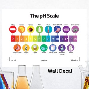Ph Scale Infographic Wall Decal Science Classroom Decor - Etsy