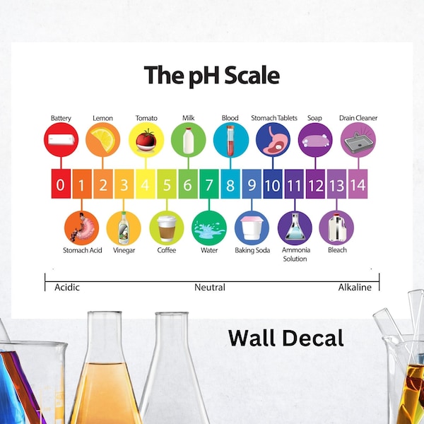 Science Wall Decals - Etsy