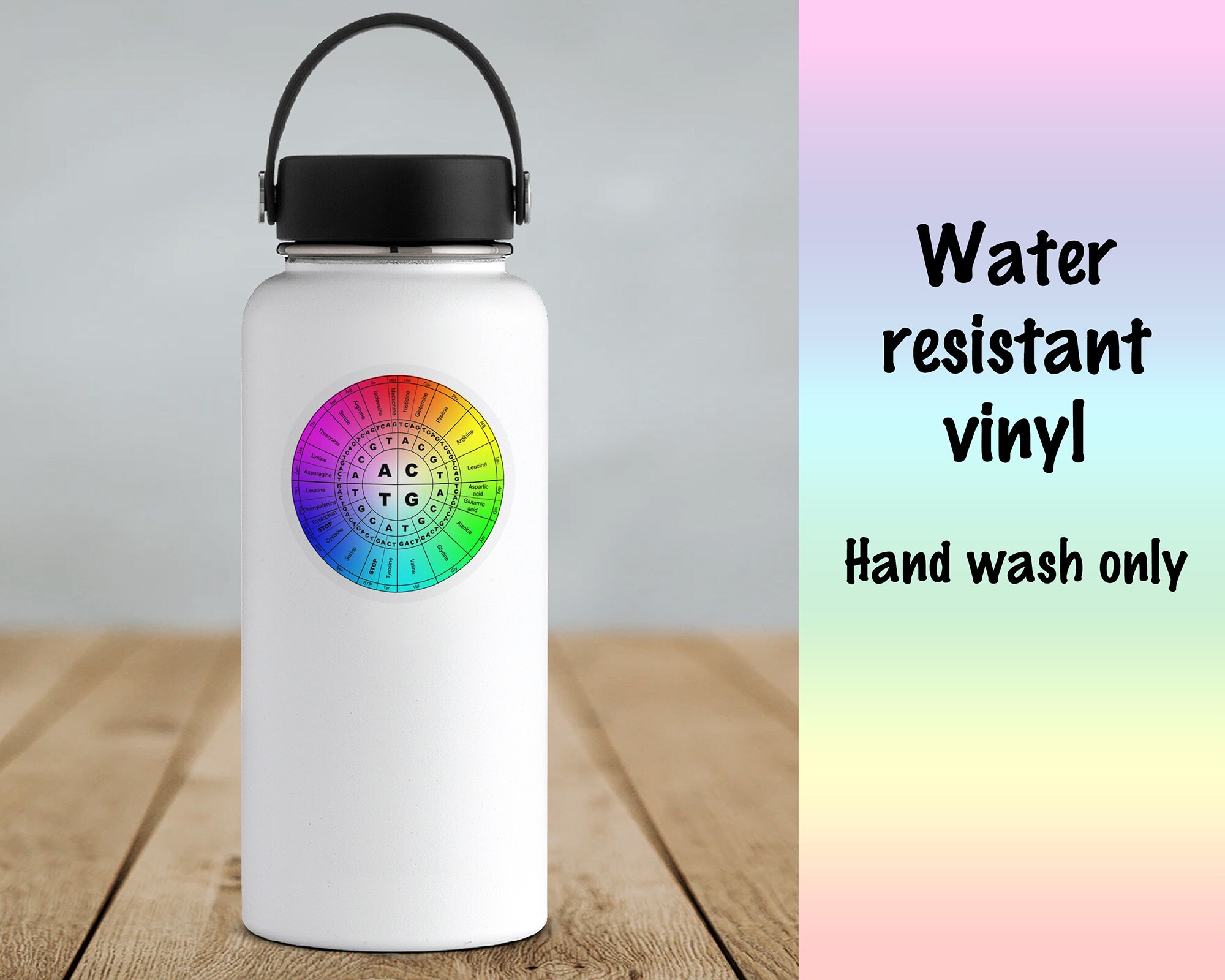 Codon Sticker Genetics DNA Sequencing Water Bottle - Etsy