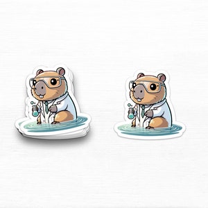 Capybara Scientist Sticker, Glossy Vinyl, Stick on a Laptop, Notebook ...