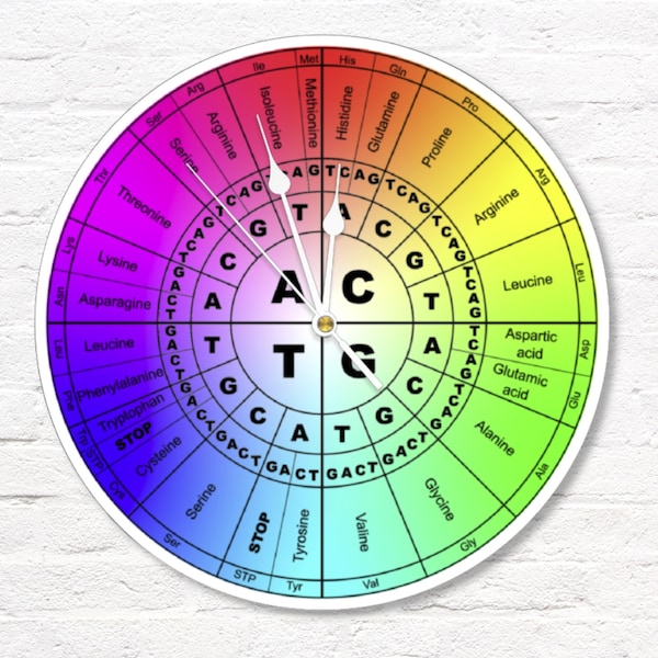 Rainbow Wall Clock - Etsy