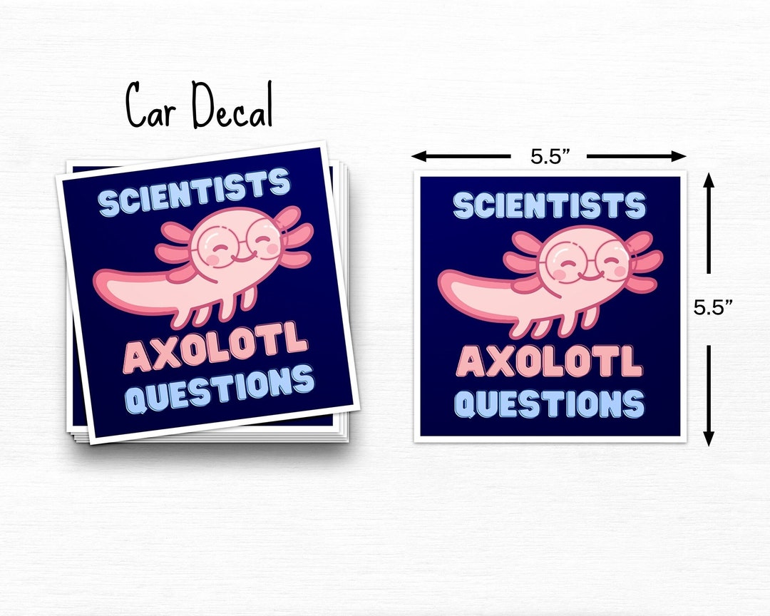 Scientists Axolotl Questions Decal Axolotl Stickers Car - Etsy Scientists Axolotl Questions Decal Axolotl Stickers Car - Etsy