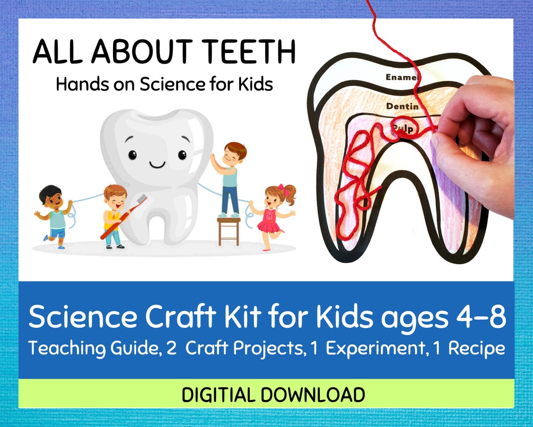 Craft Kit All About Teeth for Kids Ages 4 8 Digital - Etsy