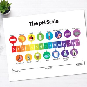 Ph Scale Infographic Print, Science Classroom Decor, 14 X 11 Poster ...