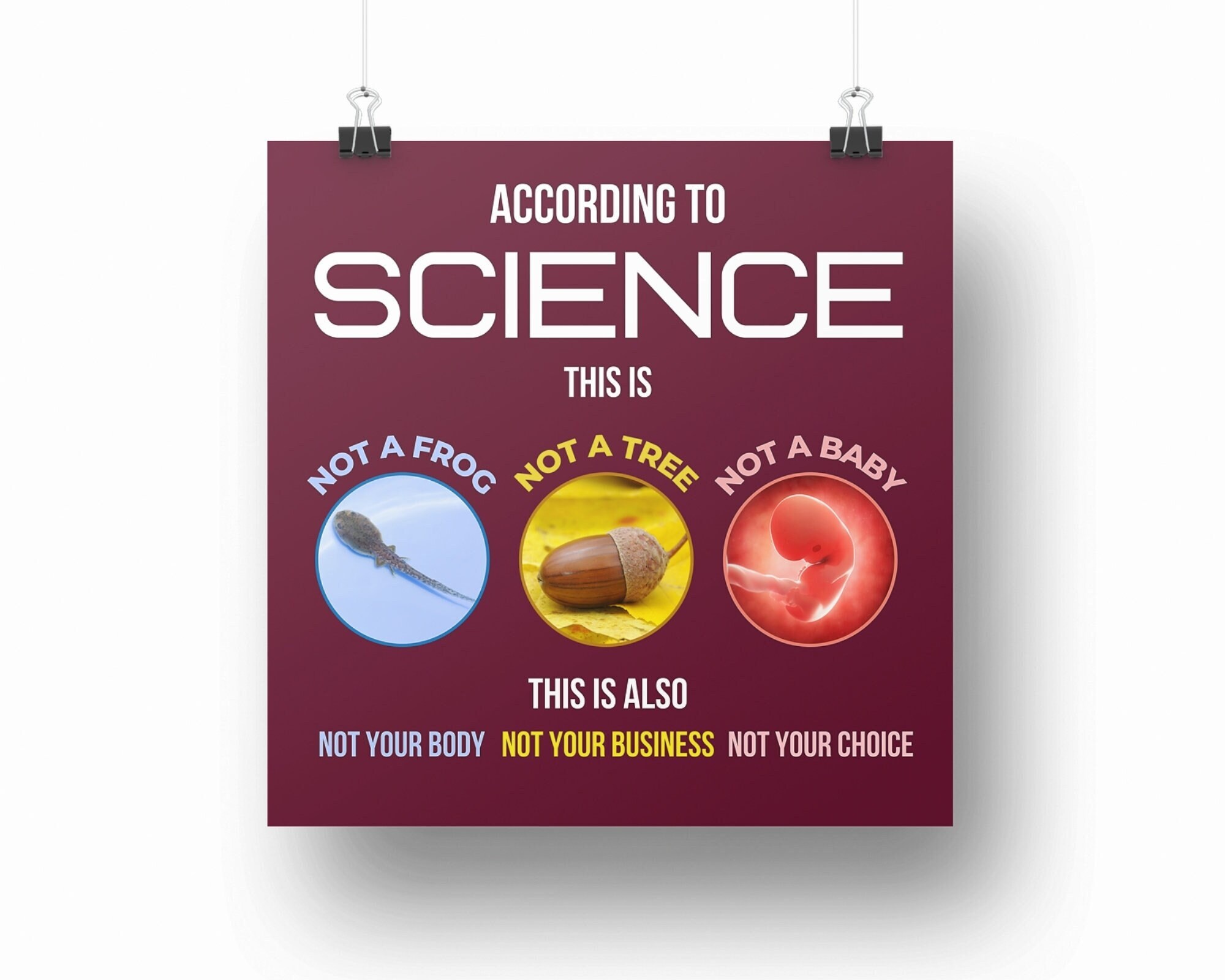 abortion is healthcare No Uterus No Opinion Women's rights poster funny ...