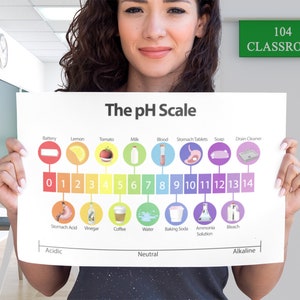 Ph Scale Infographic Wall Decal Science Classroom Decor - Etsy