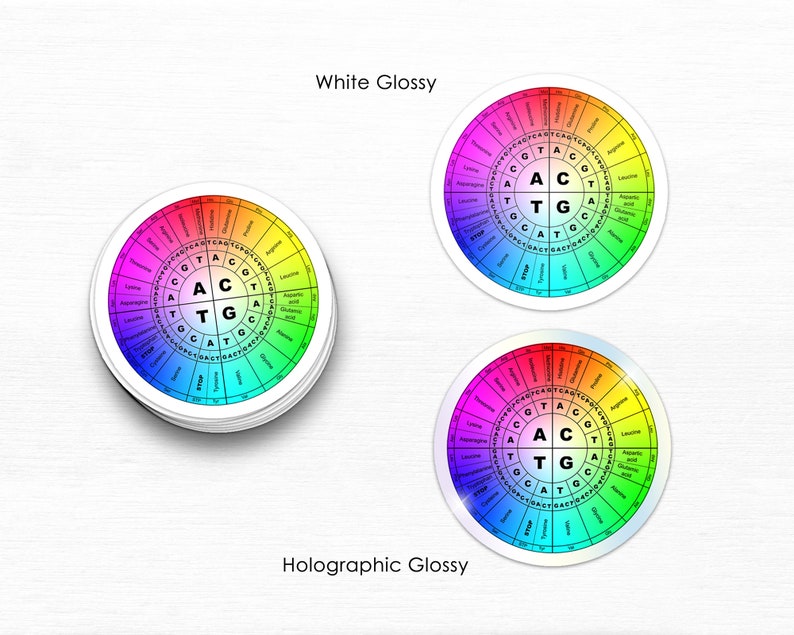 Codon Sticker Genetics DNA Sequencing Water Bottle - Etsy