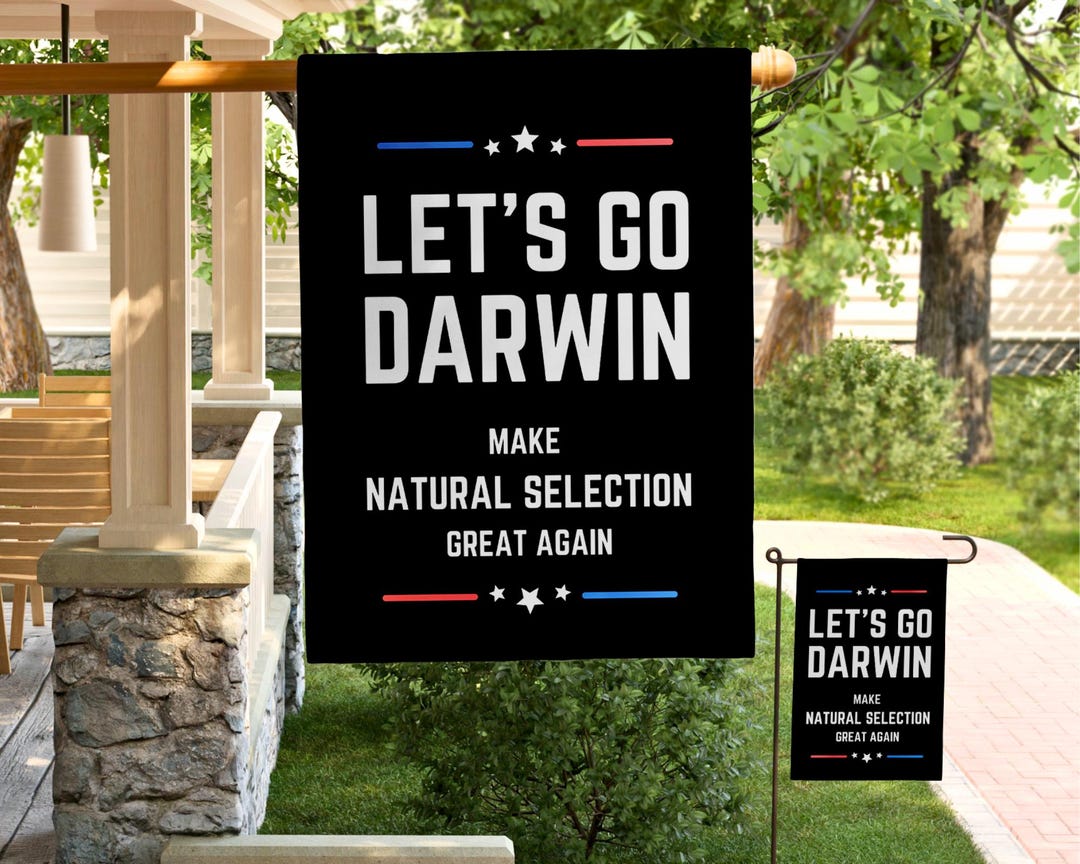 Let's Go Darwin Yard Flag, Garden Flags, Garden Decor, Lawn Signs ...
