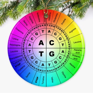 Personalized Codon Table Ornament, Genetics, DNA Sequencing, Science ...