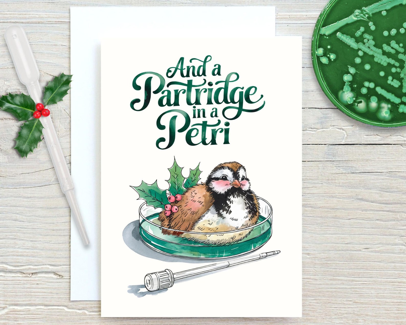 Cute Science Christmas Card - A Partridge in a Petri, Envelopes ...