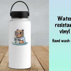 Capybara Scientist Sticker, Glossy Vinyl, Stick on a Laptop, Notebook ...