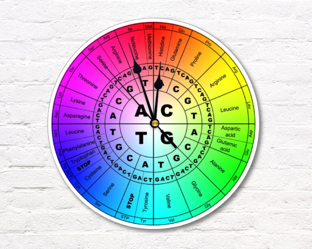 Colorful Codon DNA Wall Clock - 9.8" Diameter, Great Gift for Biologist ...