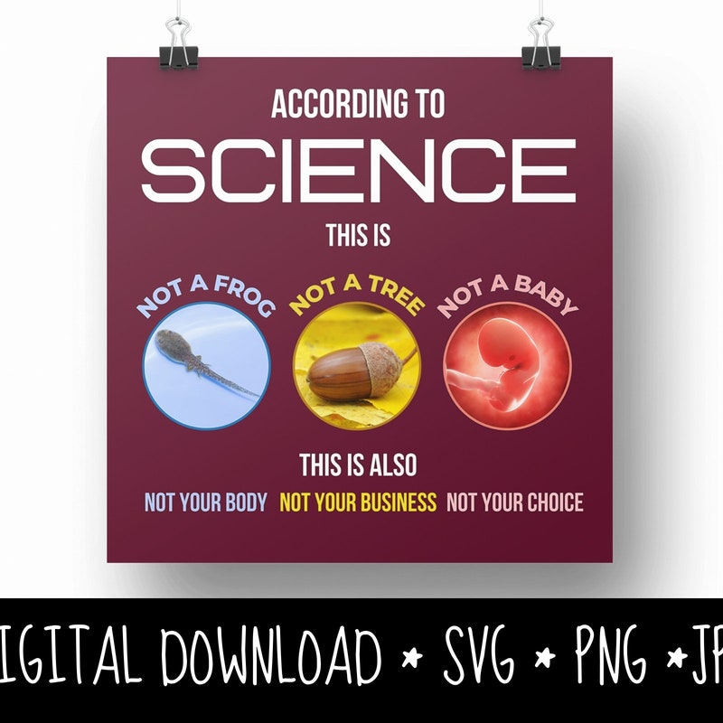 Pro Choice Poster - Etsy