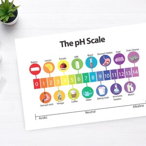 Ph Scale Infographic Wall Decal Science Classroom Decor - Etsy