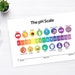 Ph Scale Infographic Wall Decal Science Classroom Decor - Etsy