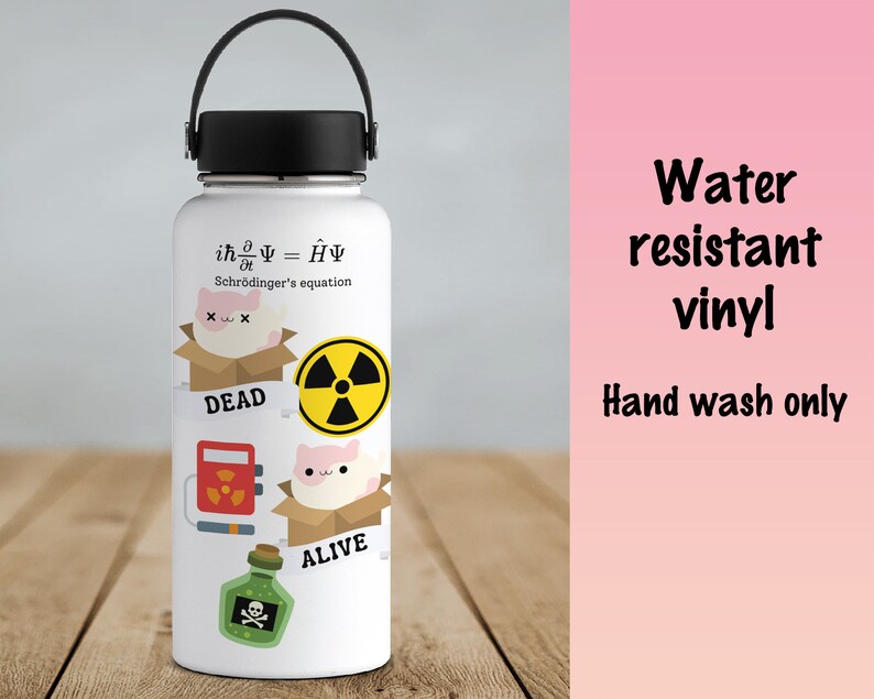 Schrodinger's Cat Sticker Pack Funny Science Stickers - Etsy