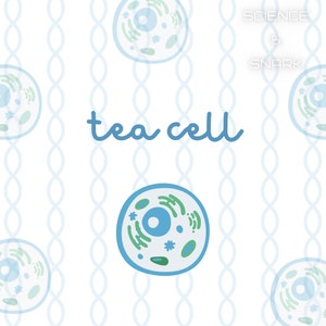 T Cell Tea Towels, Biology Puns, Science Gifts, Biology Gifts, Science ...