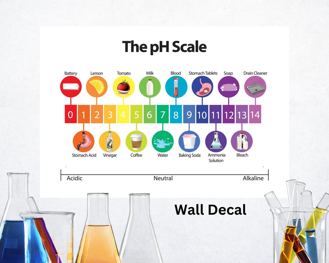 Ph Scale Infographic Wall Decal Science Classroom Decor - Etsy