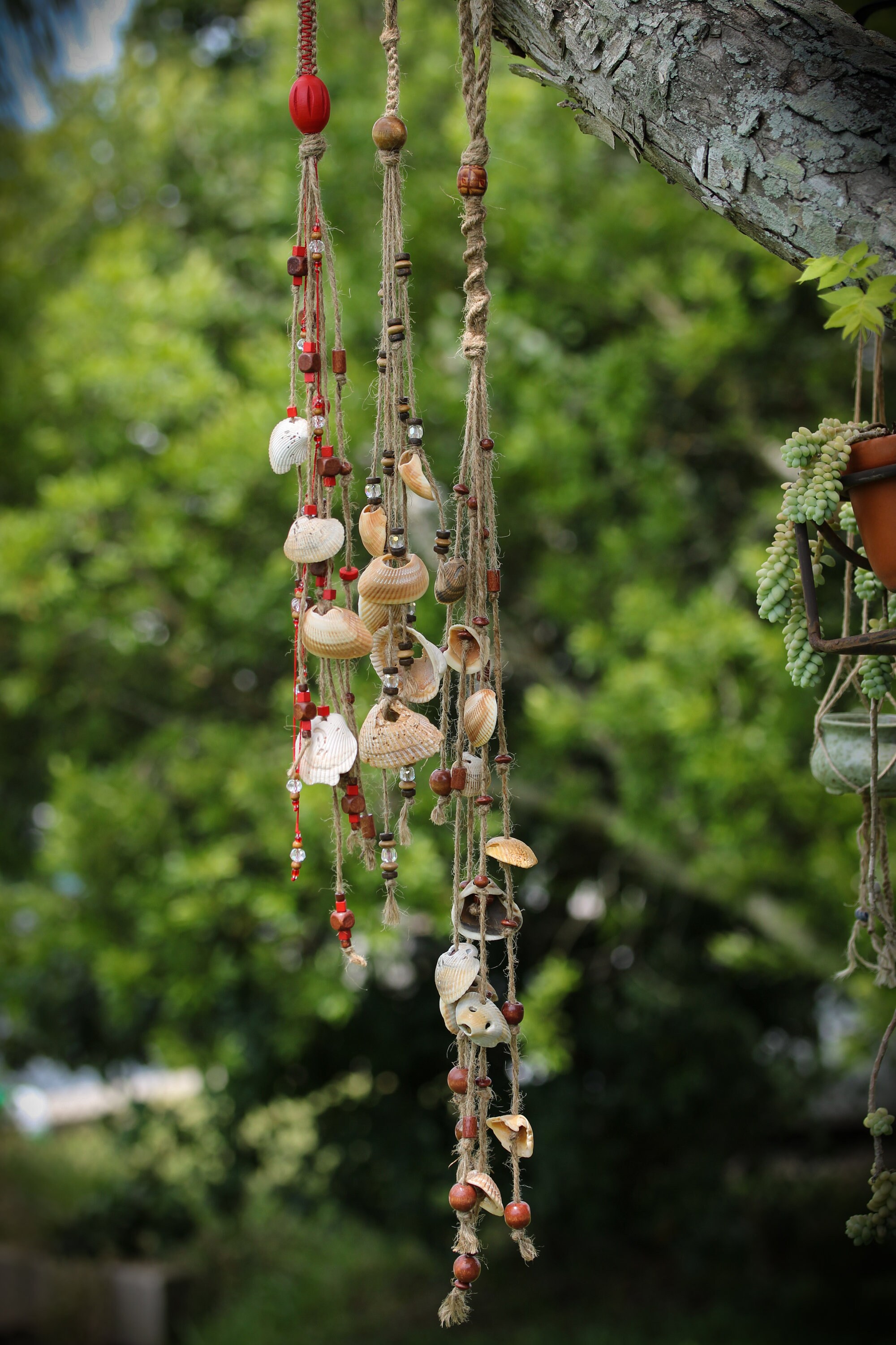 Macrame Seashell Suncatcher, Bohemian Home, Mermaidcore Hanging for ...