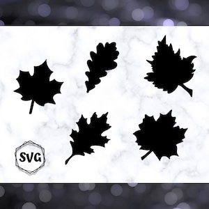 Fall Leaf Bundle File for Cricut, Silhouette Machine, Laser Cutters ...