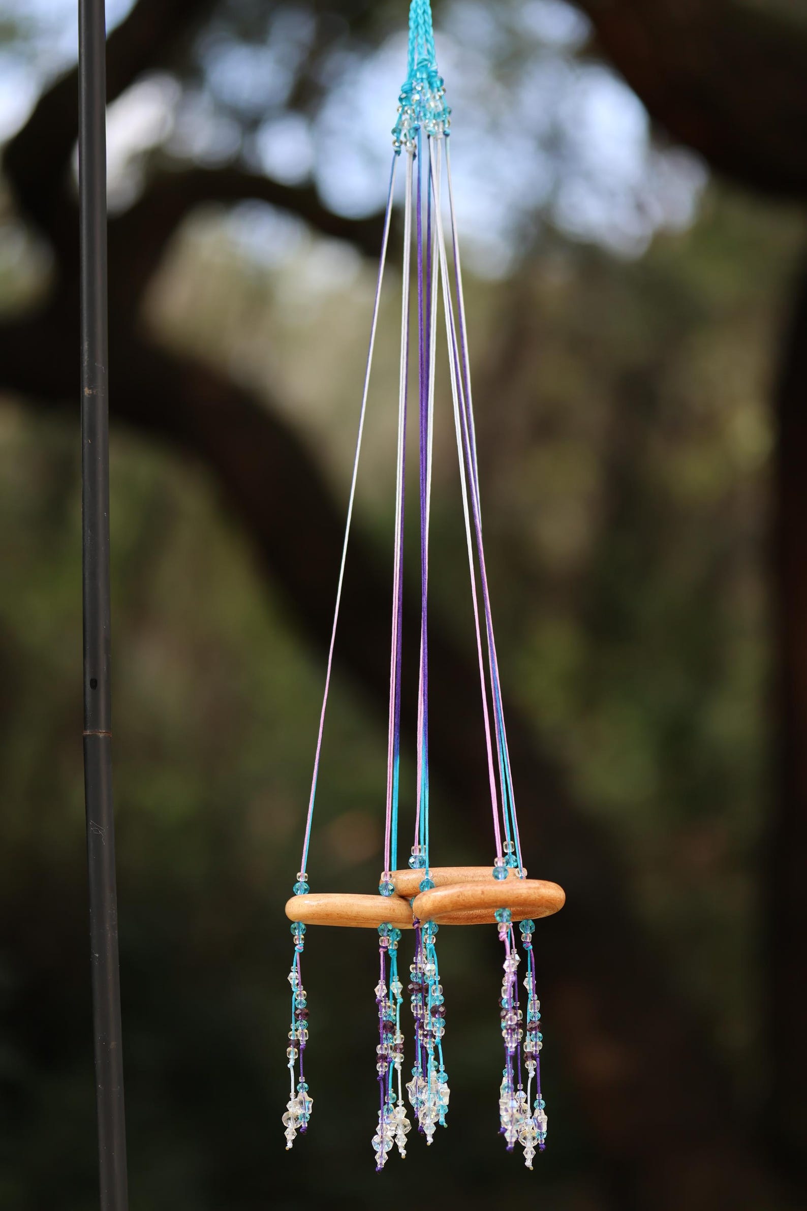 Suncatcher for Air Plants, Rainbow Plant Display, Whimsical Airplant ...