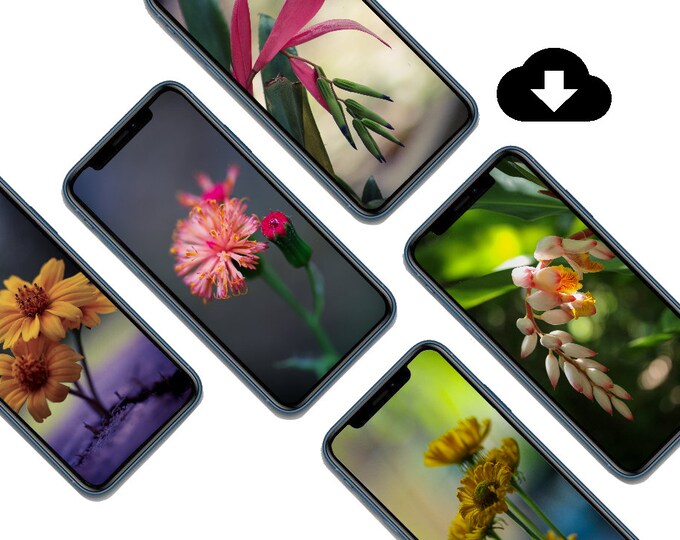 Dripping Crescent Moon SVG and PNG Files for Cricut - Etsy