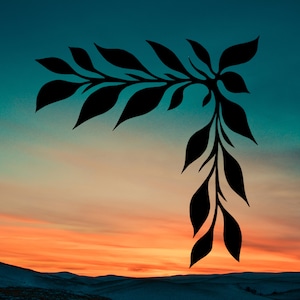 Vine Frame SVG and PNG Files for Circuit, Craft Cut File Bundle ...