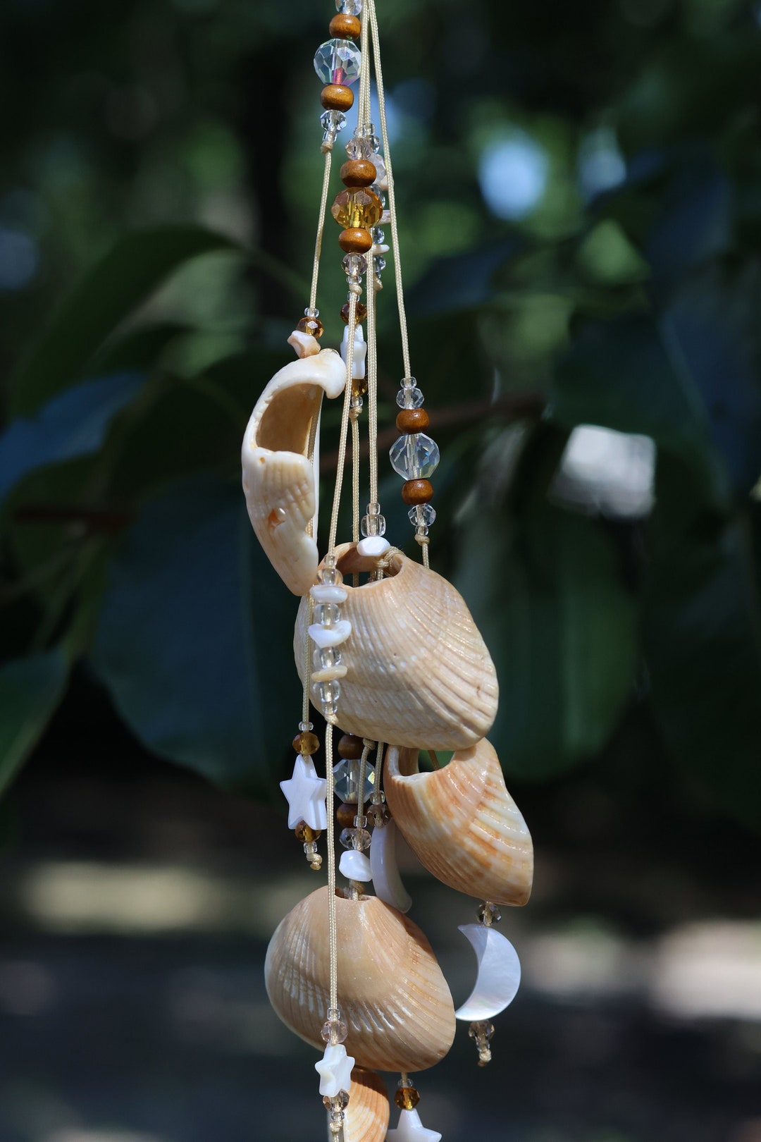 Celestial Shell Suncatcher, Coastal Hanging Decoration, Seashell Art ...