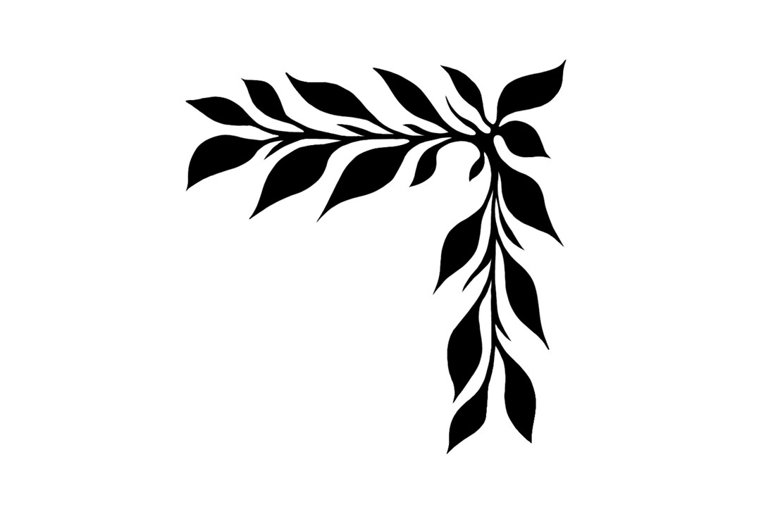 Vine Frame SVG and PNG Files for Circuit, Craft Cut File Bundle ...