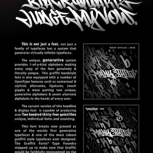 Manystyles™ Generative Graffiti Font - Etsy