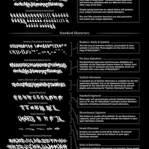 Manystyles™ Generative Graffiti Font - Etsy
