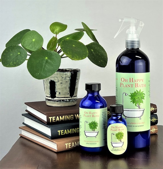 Leaf Polish and Cleaning Spray - Etsy