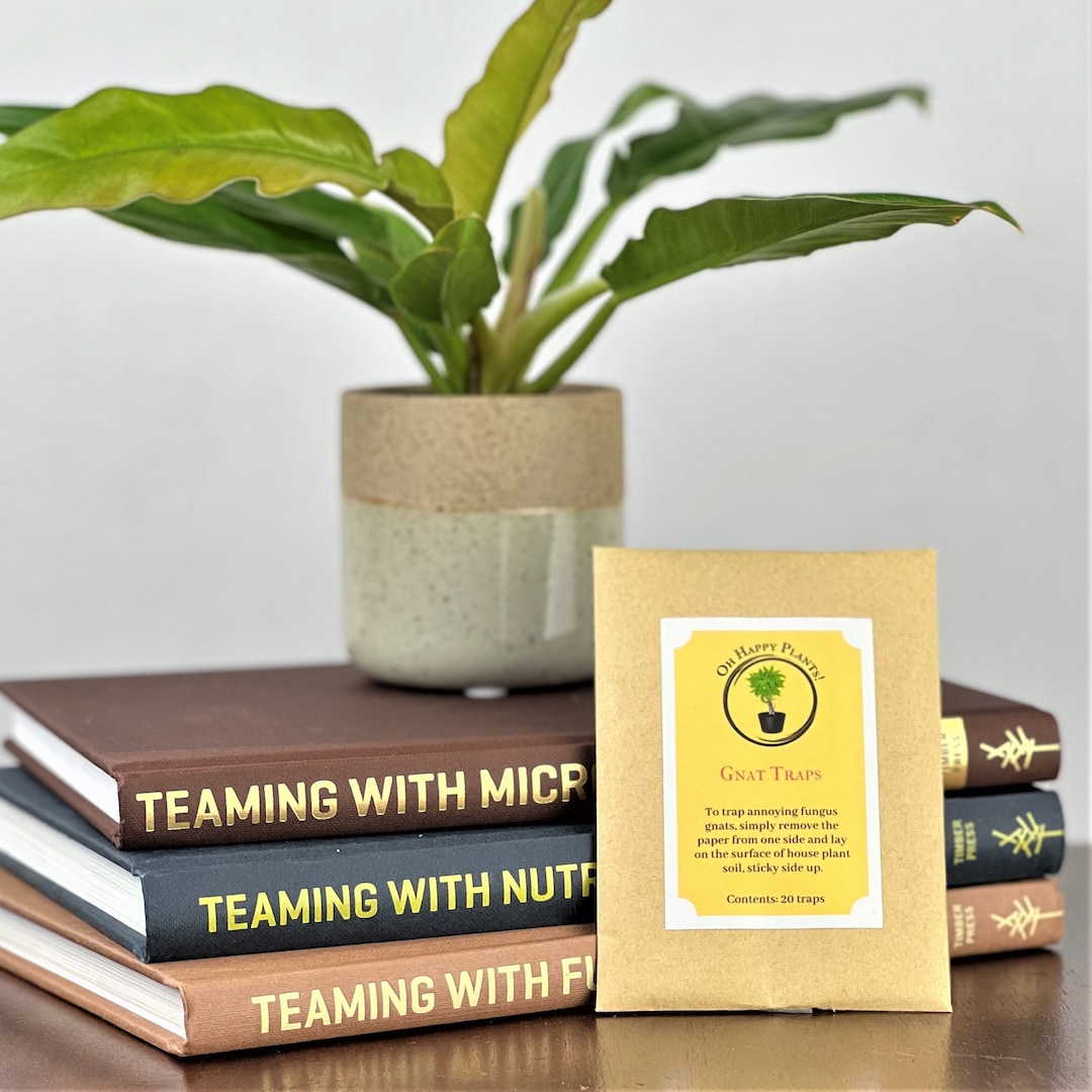 Houseplant Gnat Traps 20-pack | Yellow Sticky Traps | Fungus Gnat Traps ...