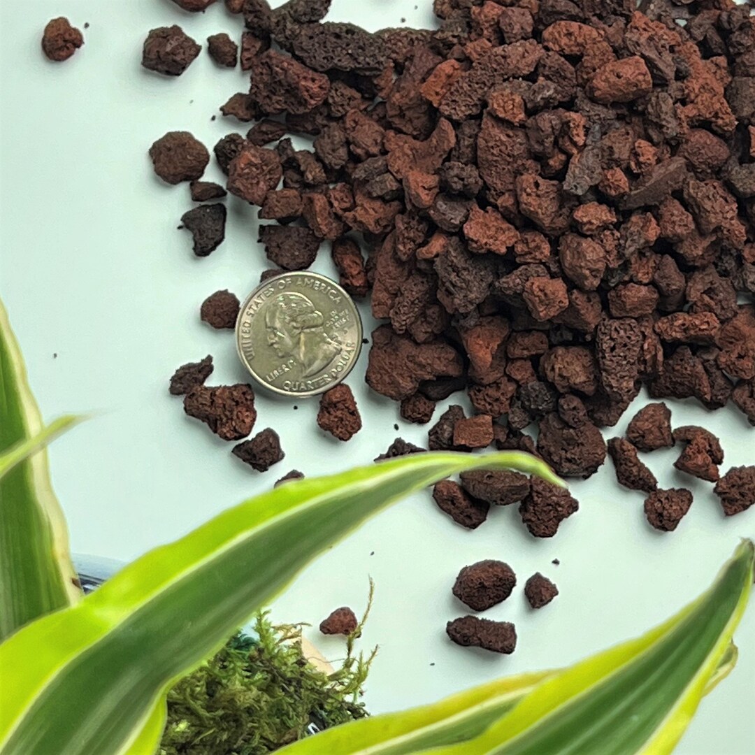 Small 3/8" Lava Rock | DIY Potting Soil | Soil Aeration | Chunky Soil ...