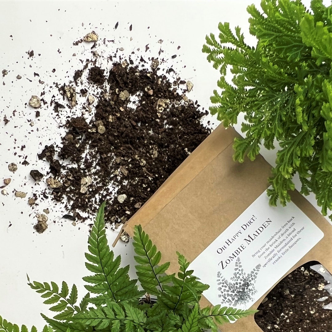 Fern Soil | Zombie Maiden Houseplant Potting Soil | Sustainable ...