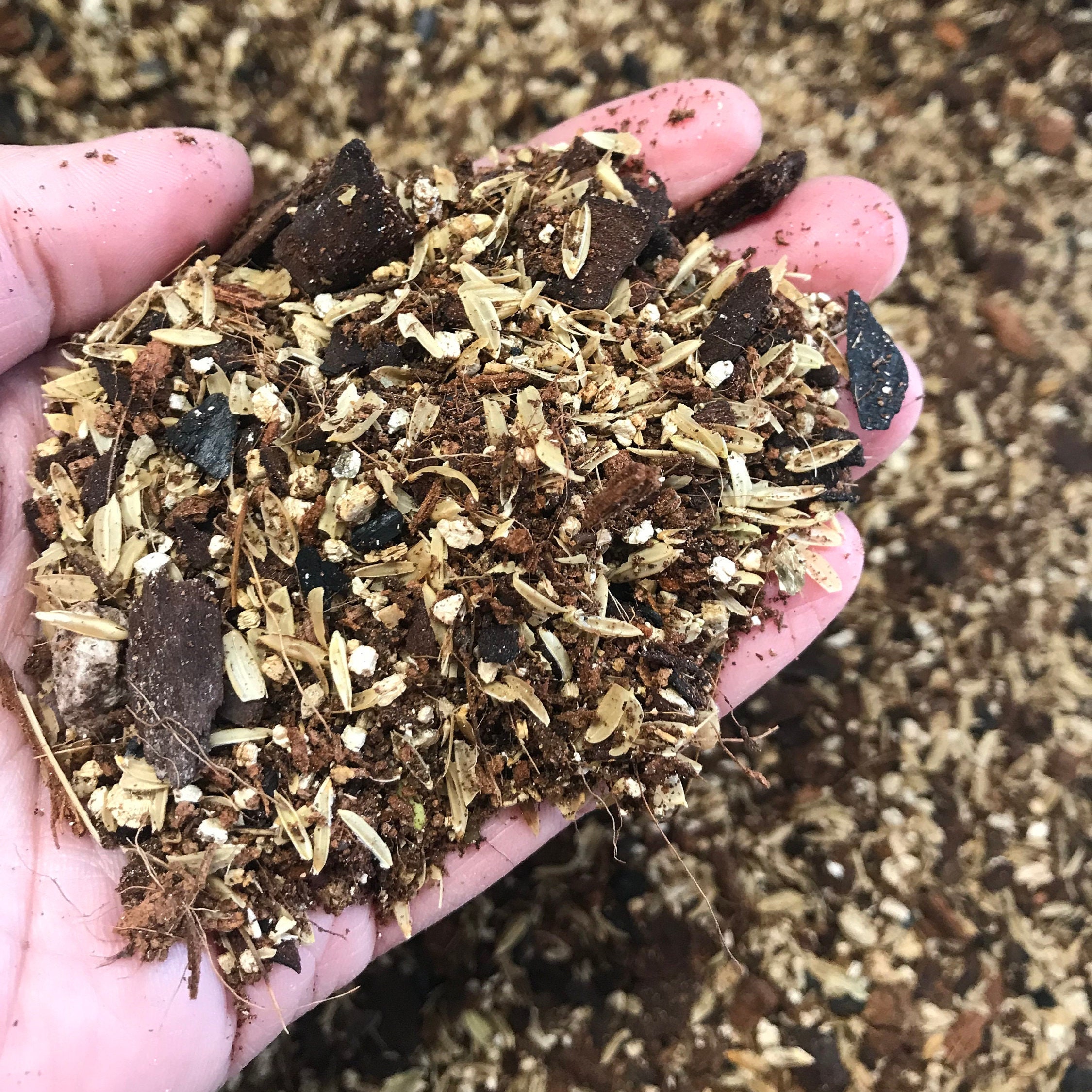 Rainforest Floor Soil Blend - Etsy