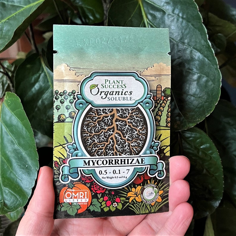 Houseplant Microbiome Inoculant Beneficial Fungi Soluble Inoculant ...
