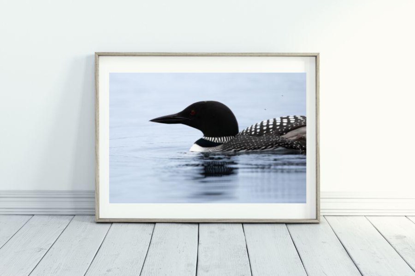 Common Loon Wall Decor Wildlife Wisconsin Art Cabin Art Nature Wall Art ...