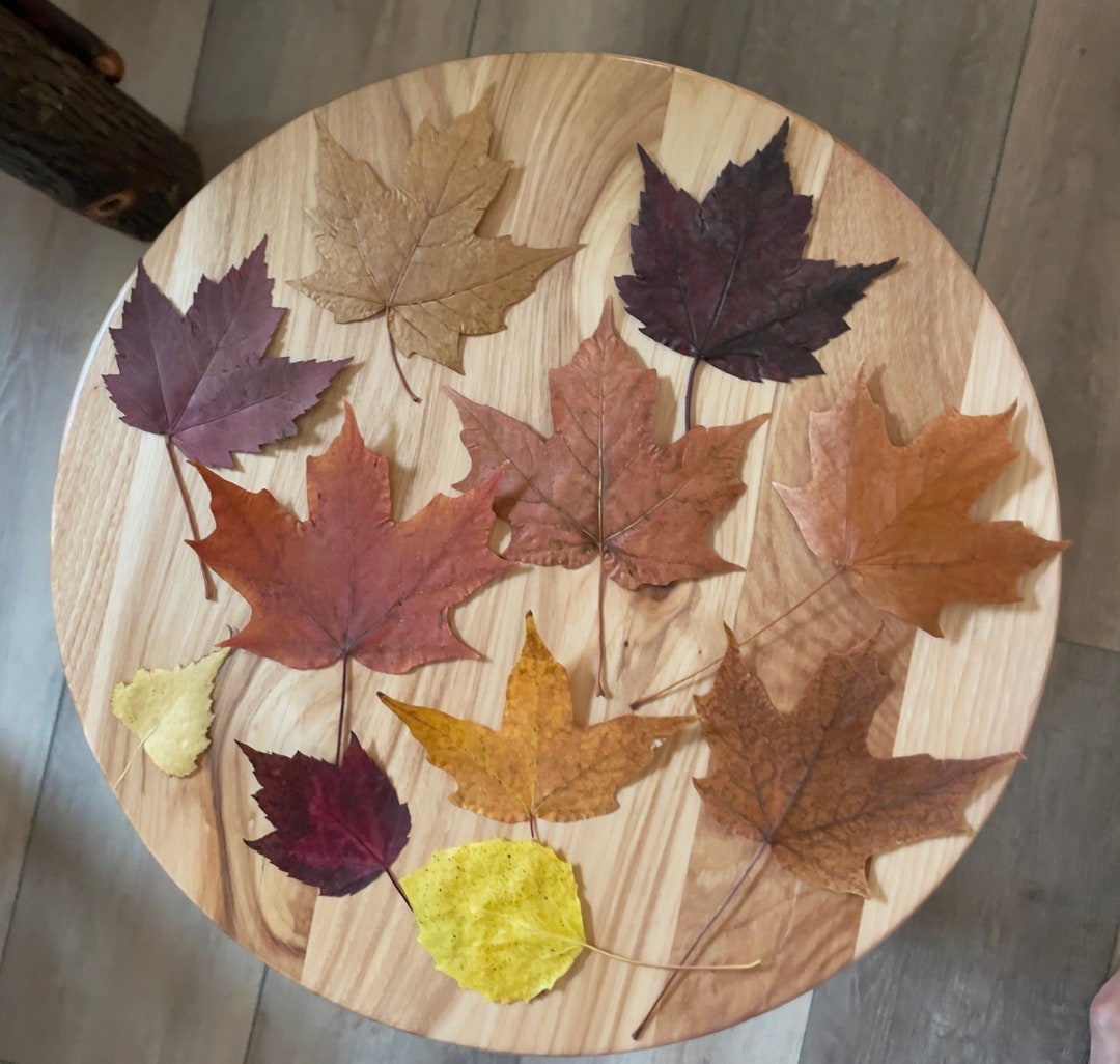 Fall Leaves Maple Leaf Real Dried Leaves for Crafts Fall Wreath ...