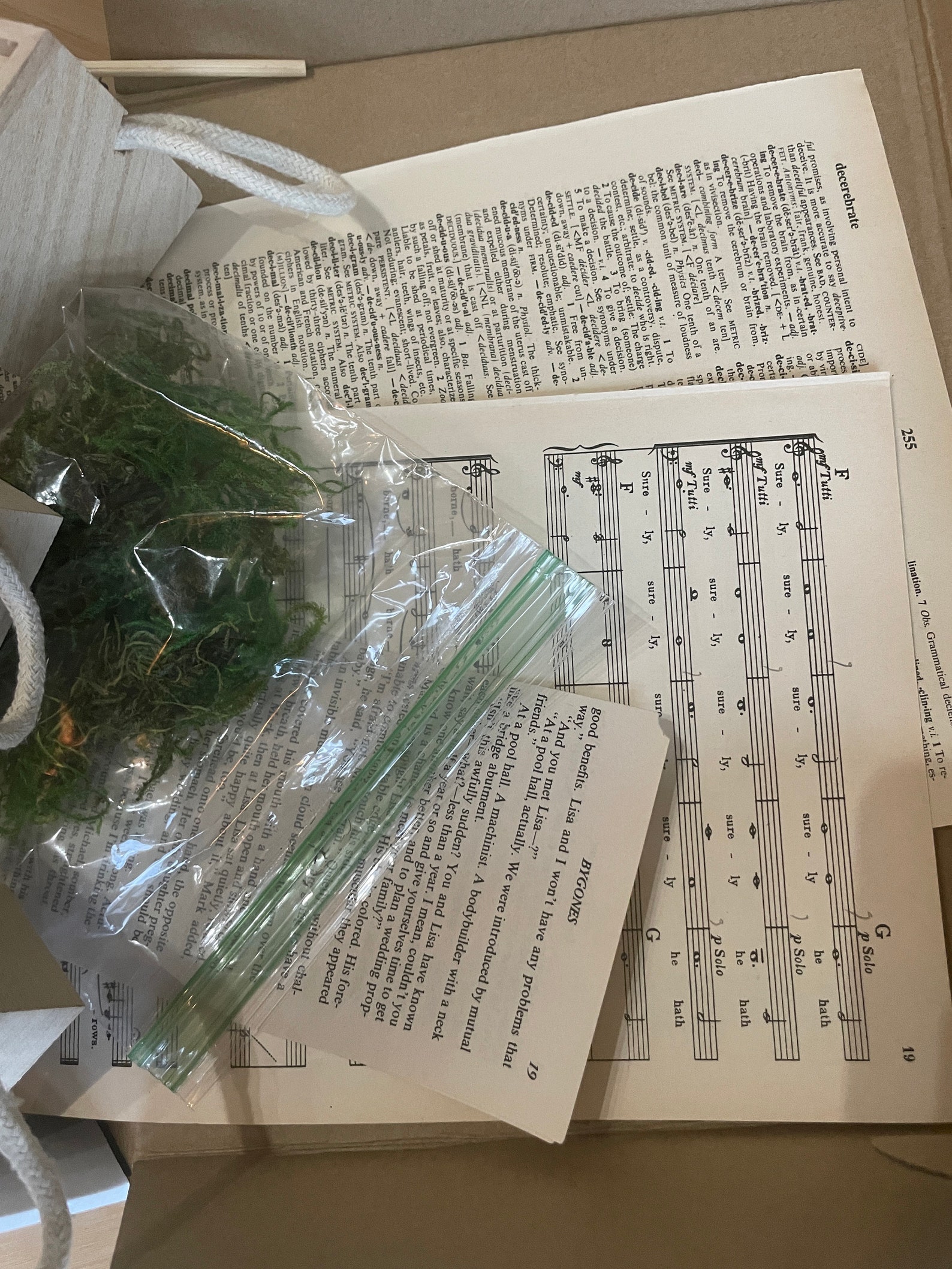 Bird House Craft Kit, Fun Girls Night Out Idea, GNO, Bird House ...