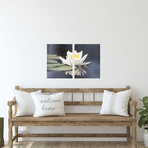 Nature Photograph of a White Lily Pad Flower Spit Into Two, Wall Decor ...