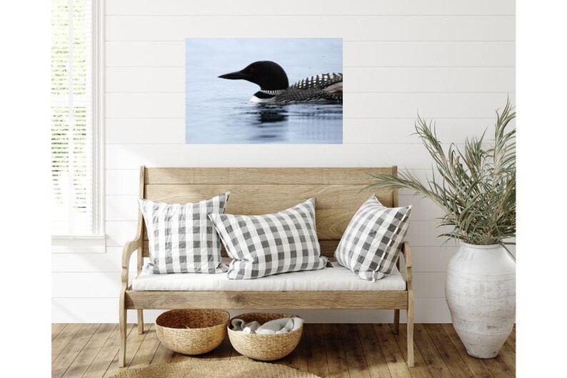 Common Loon Wall Decor Wildlife Wisconsin Art Cabin Art Nature Wall Art ...