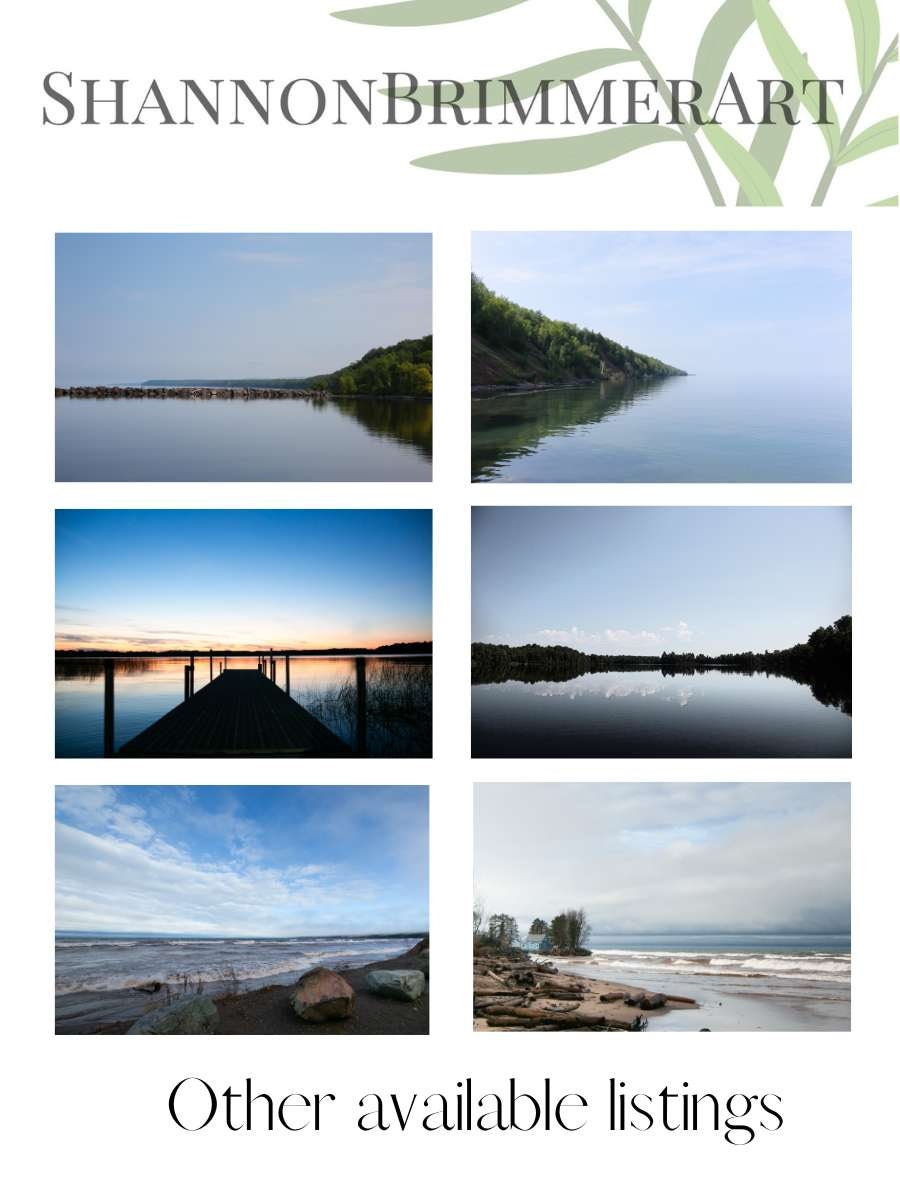 Nature Photograph of a White Lily Pad Flower Spit Into Two, Wall Decor ...