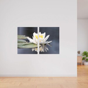 Nature Photograph of a White Lily Pad Flower Spit Into Two, Wall Decor ...