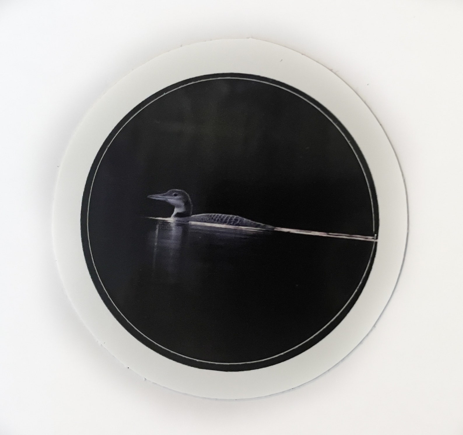 Common Loon Sticker From Photograph Juvenile Loon on Lake Loon Rescue ...